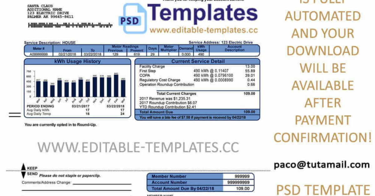 MEA Alaska electricity bill Template | Editable-Templates